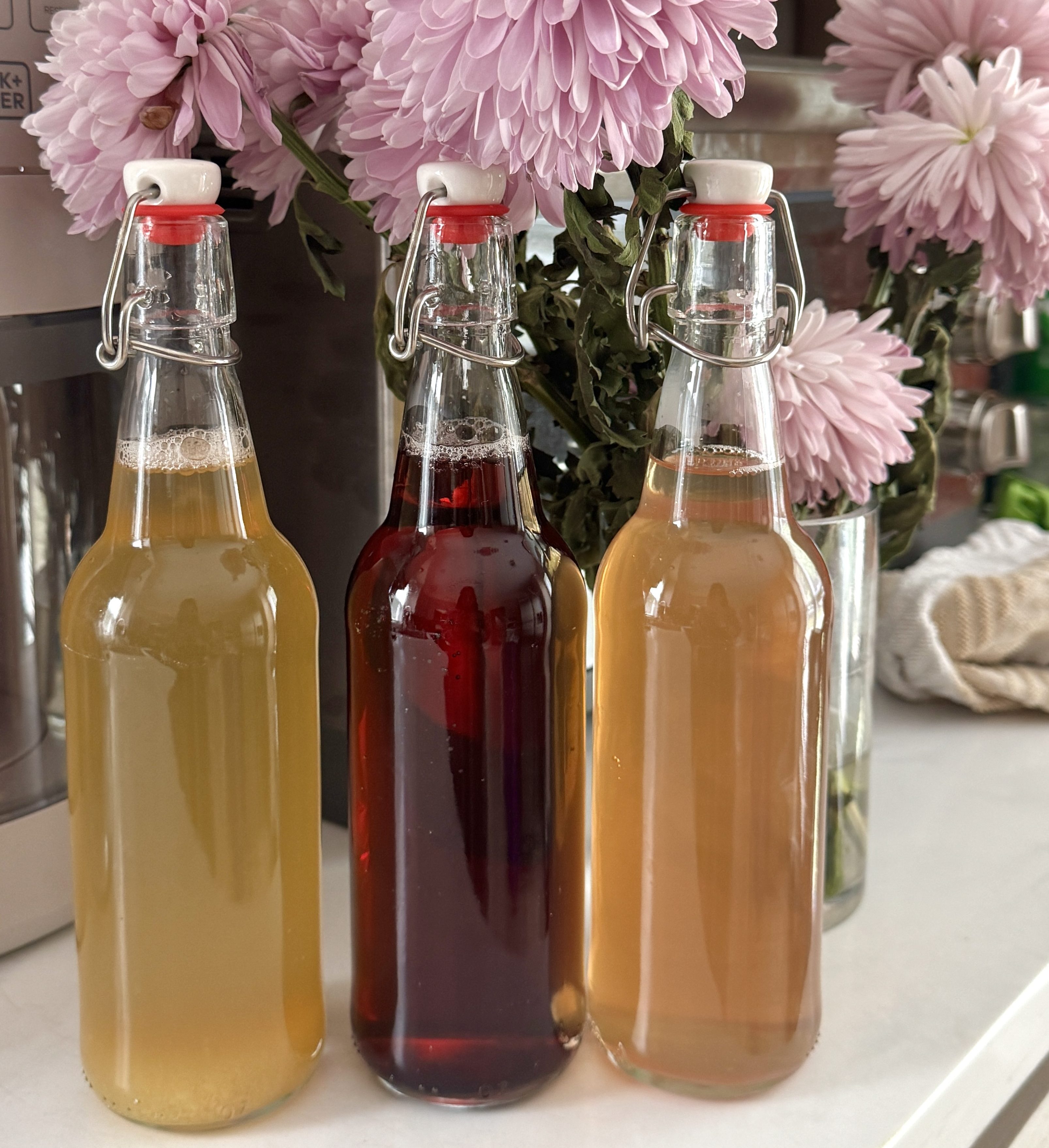 How To Make Kombucha For Beginners - salt n sprinkles